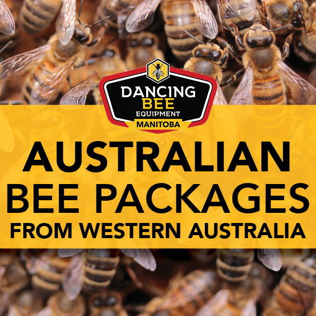 Aussie Bee Packages from Western Australia | 1.5kg — Dancing Bee Equipment Manitoba