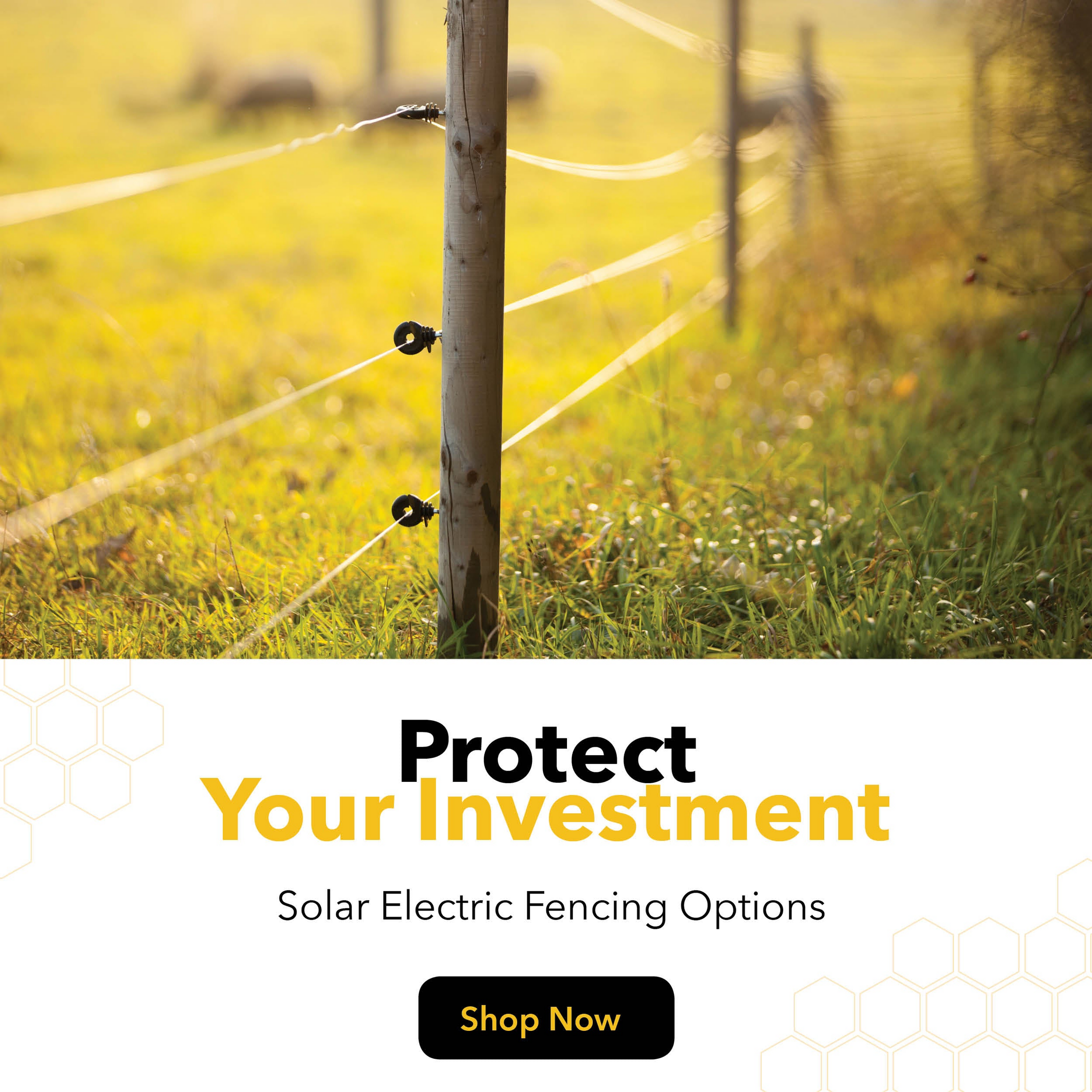 Dancing Bee Equipment Manitoba | Canadian Beekeeping Equipment Store