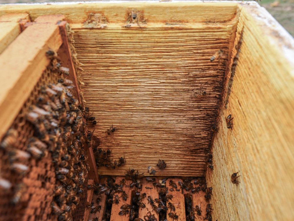 Dancing Bee Equipment Manitoba | Canadian Beekeeping Equipment Store