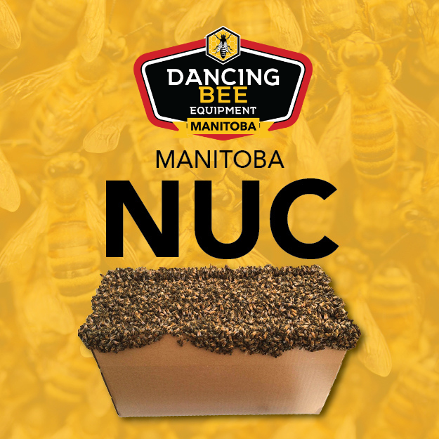 Local Manitoba Honeybee Nucs 2026 — Dancing Bee Equipment Manitoba